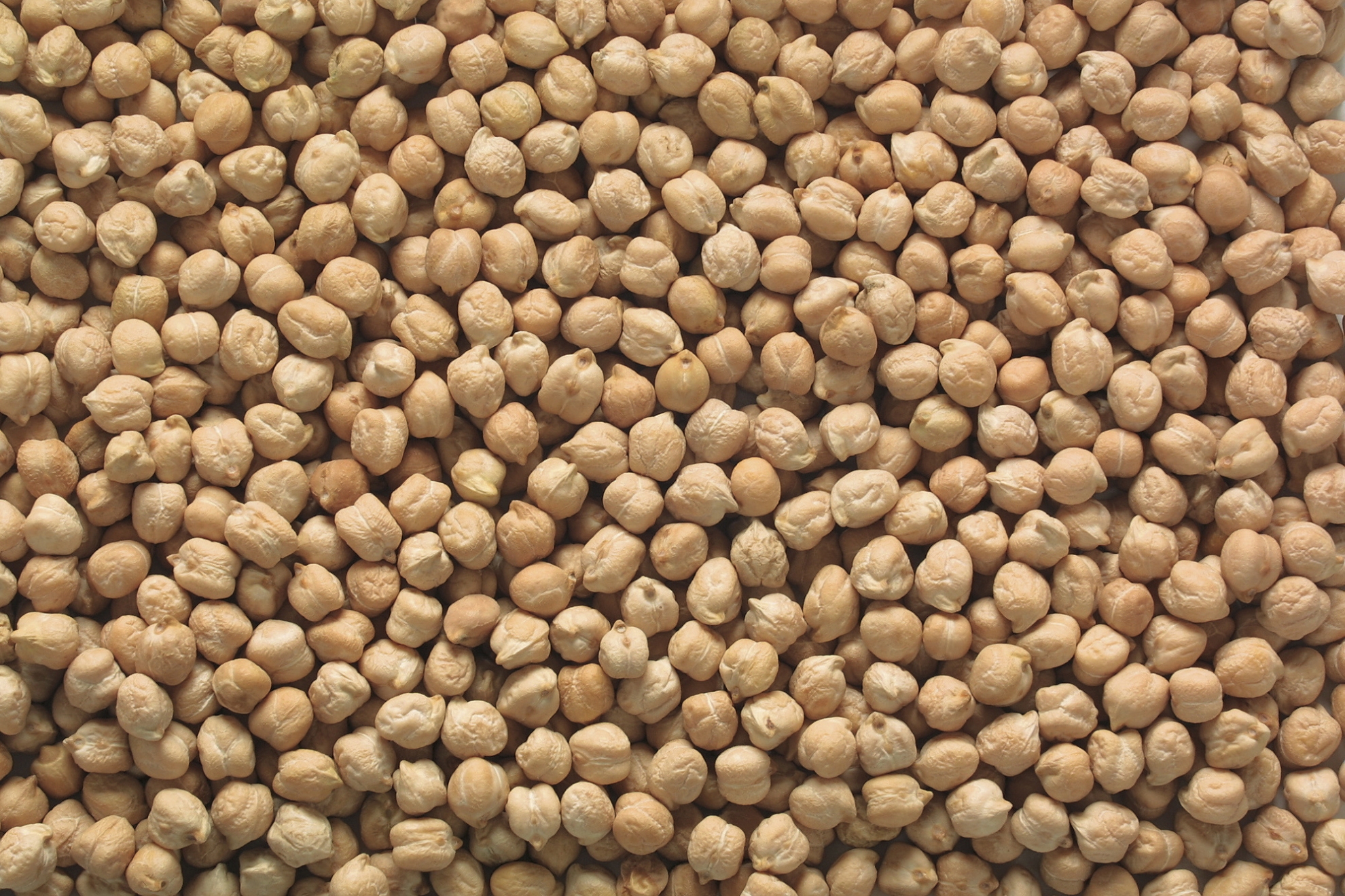 ARG Foods